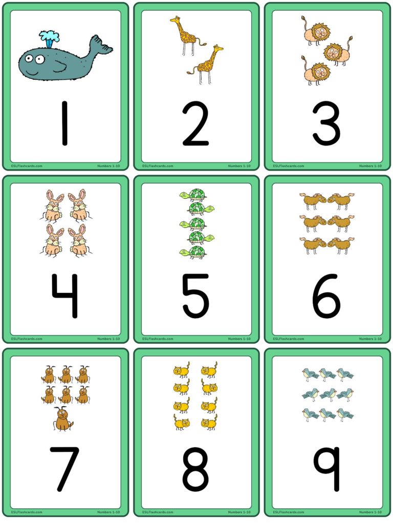 Kindergarten Flashcards – ESL Flashcards