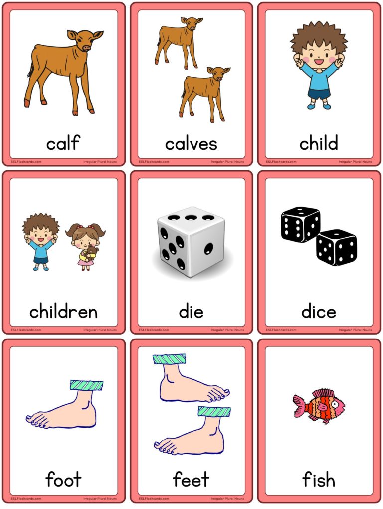 Kindergarten Flashcards – ESL Flashcards