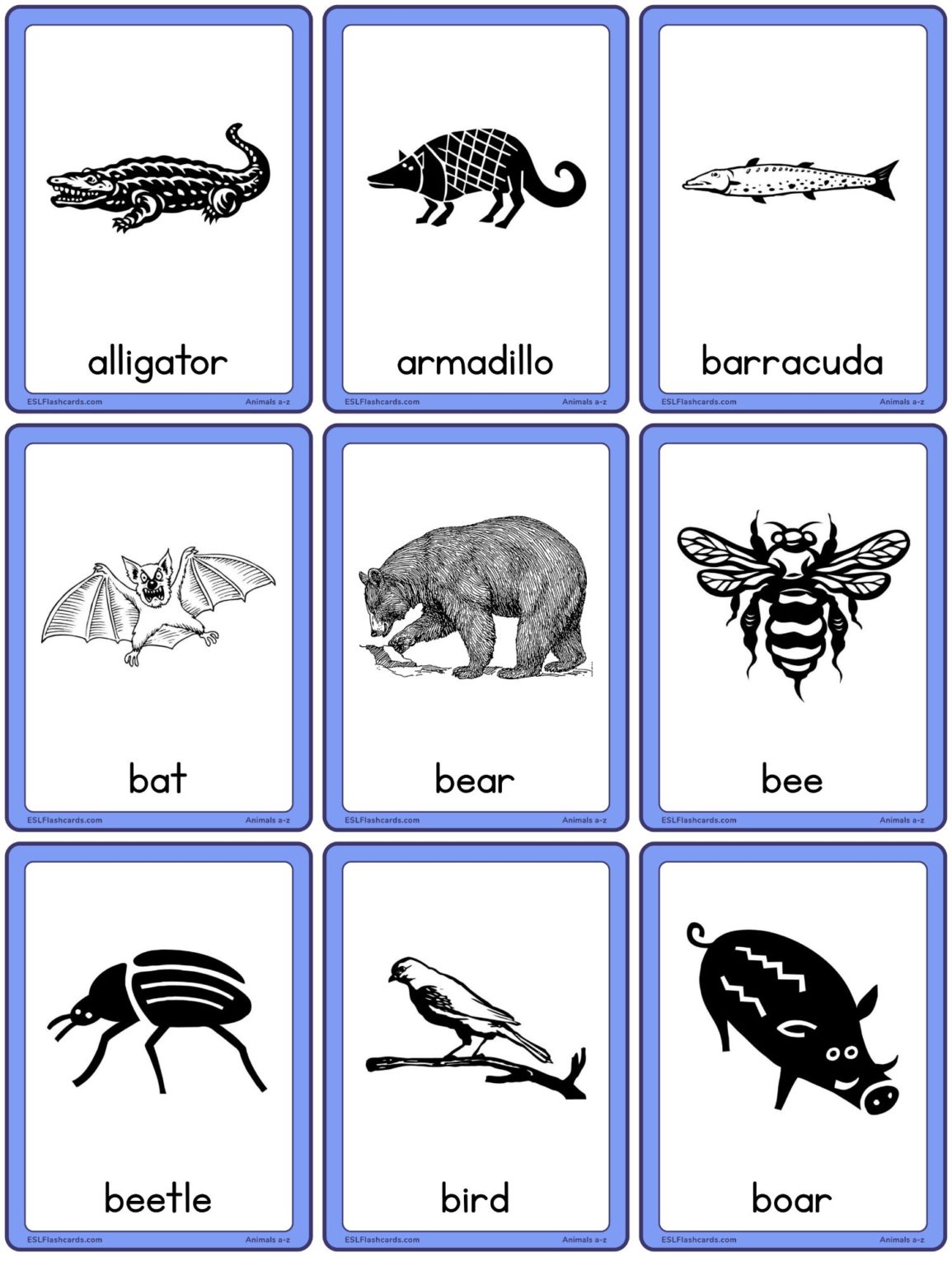 adjectives – ESL Flashcards