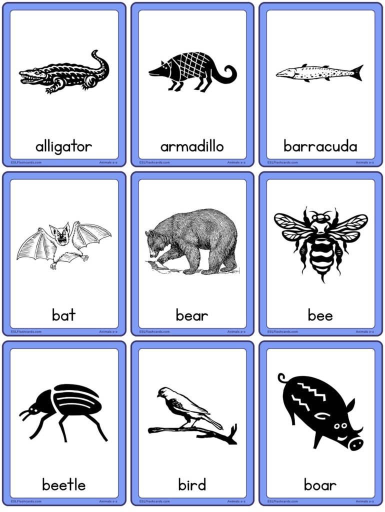 digraphs – ESL Flashcards