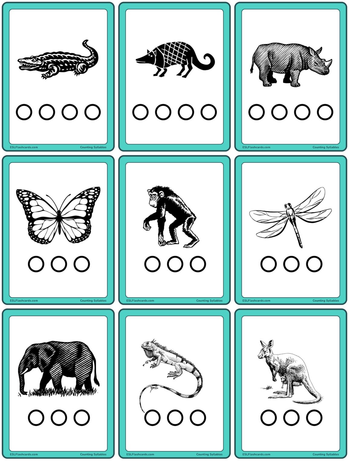 black and white – ESL Flashcards
